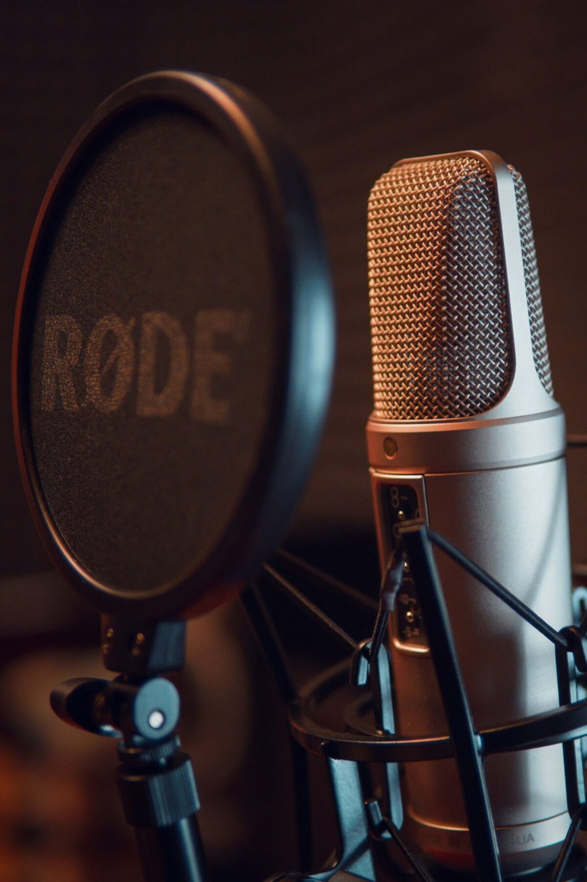 How To Become A Voice Actor: Vocal Acting Guide